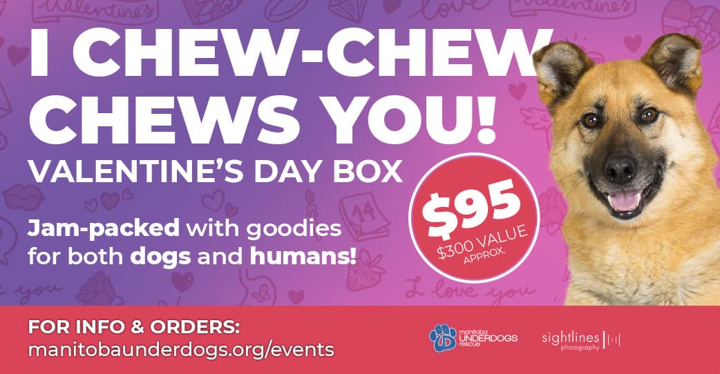 I CHEW-CHEW-CHEWS You Valentine's Day Boxes | Manitoba Underdogs Rescue